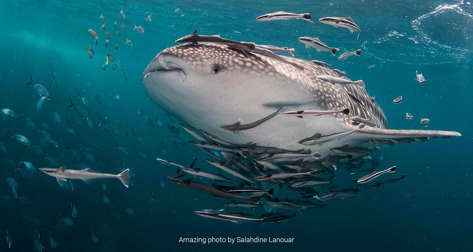 Koh Haa - Diving Koh Lanta and Koh Phi Phi - Thailand