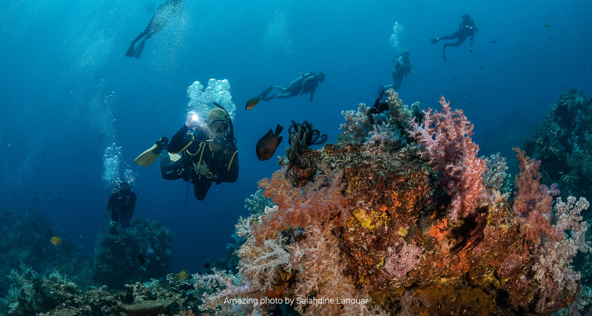 Diving Courses - Scuba Diving Koh Lanta and Koh Phi Phi