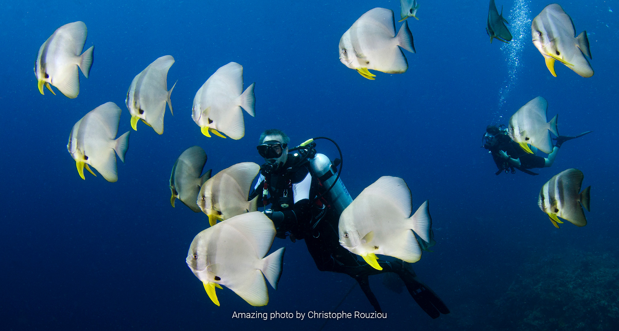 Dive Sites - Scuba Diving Koh Lanta and Koh Phi Phi