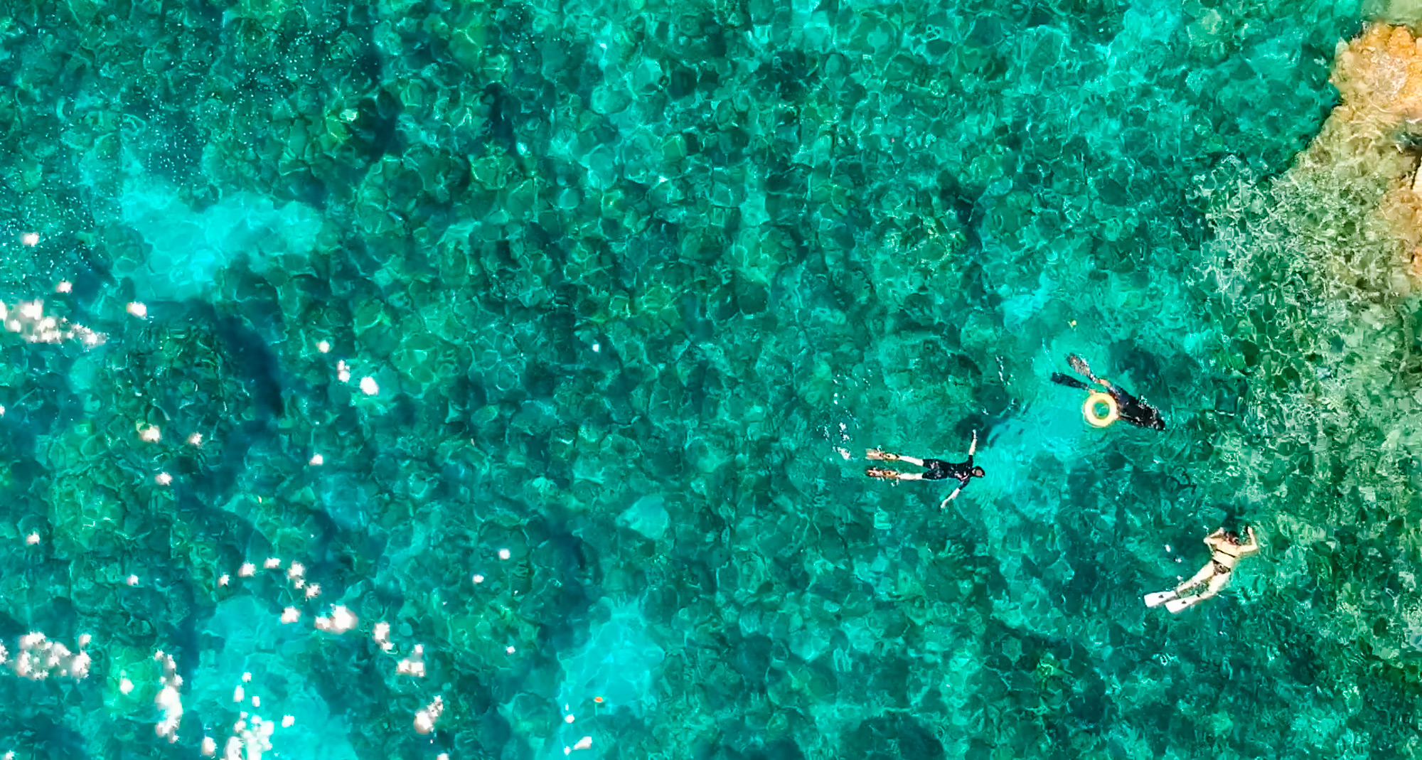 Day Trips - Diving Koh Lanta and Koh Phi Phi - Thailand